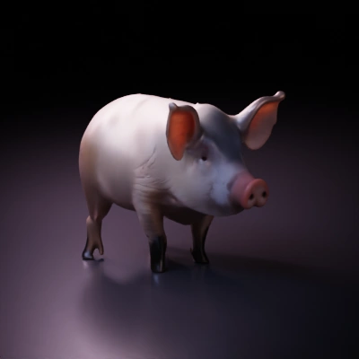 AI Pig looking forward with large ears. 3D Models | Realistic Pig ...