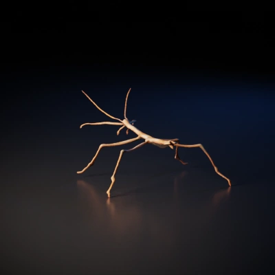 AI Large stick insect. 3D 模型 | Krist 创建的逼真 Large stick insect. 3D 图形和资产 | 下载 FBX、OBJ、GLB、USDZ 等 ...