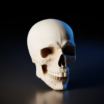 Rodin - 画像から生成できる無料AI 3Dモデルジェネレーター | Hyper3D